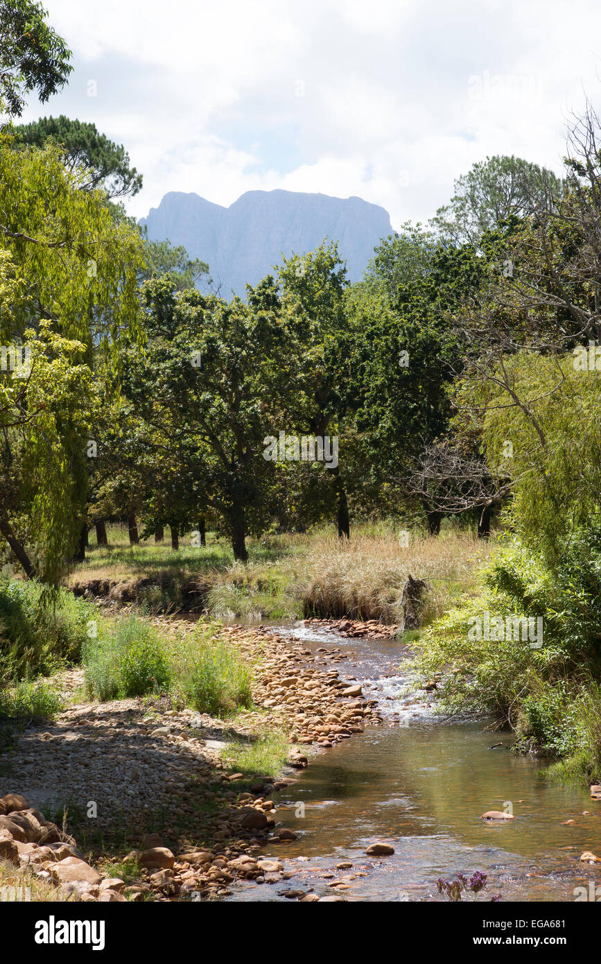 Lourens River at Somerset West in the western Cape South Africa Stock ...