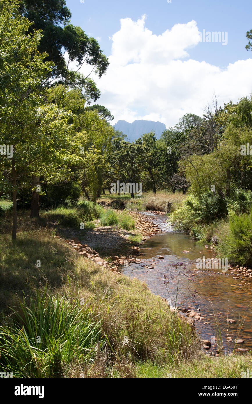 Lourens River at Somerset West in the western Cape South Africa Stock ...