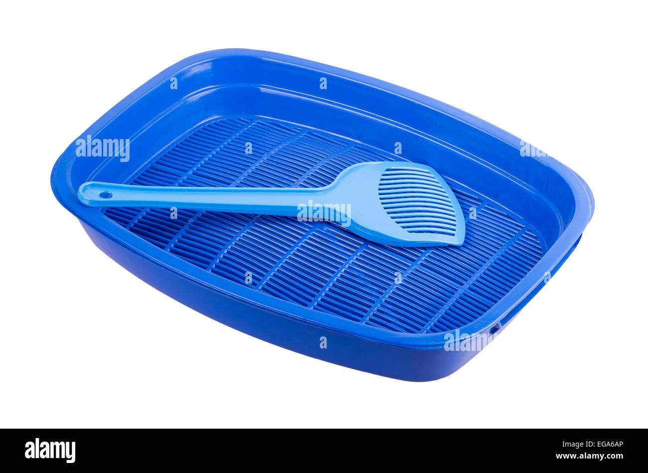 litter cat box litterbox isolated tray white kitten Stock Photo - Alamy