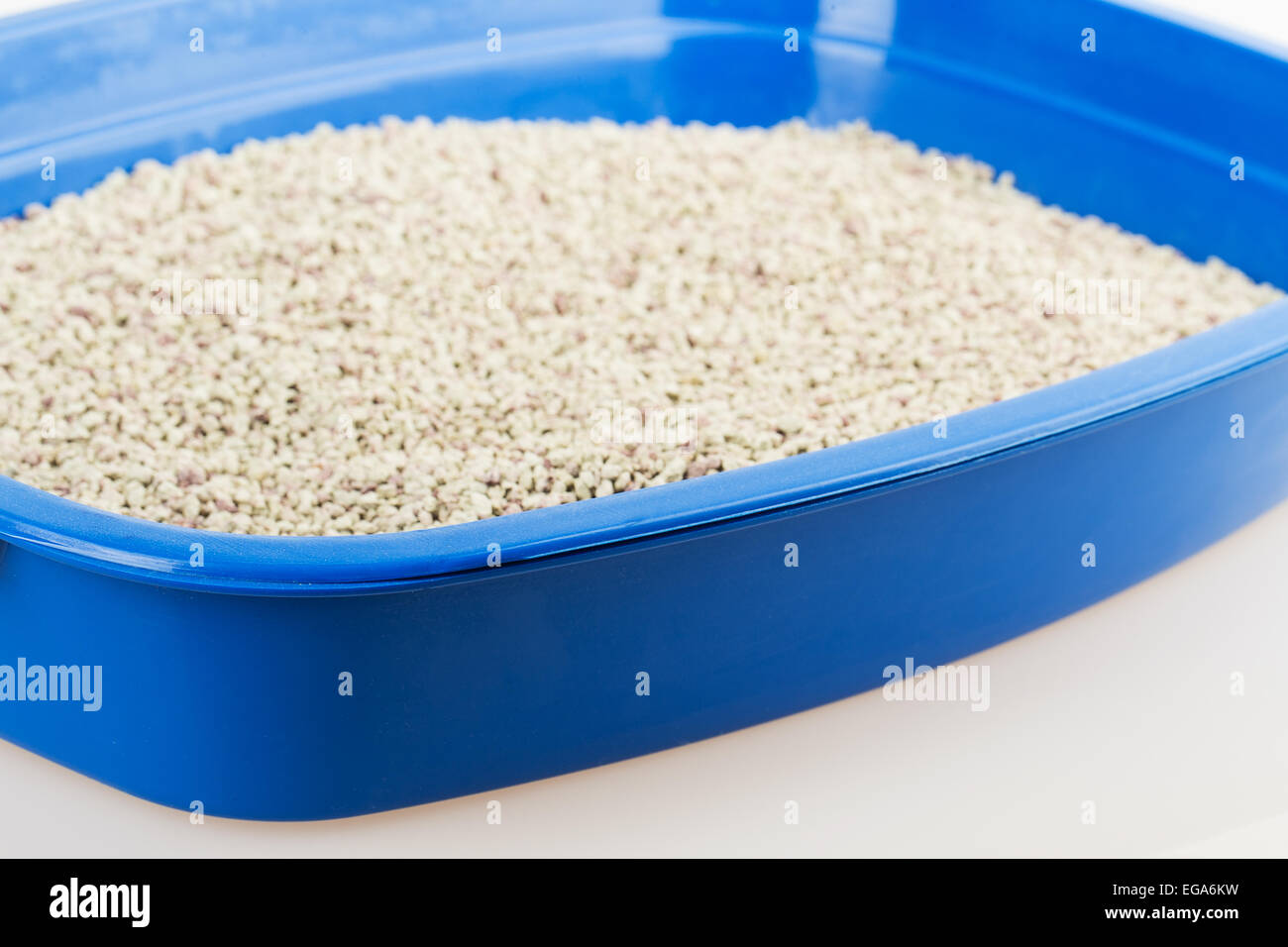 litter cat box litterbox isolated tray white kitten Stock Photo - Alamy