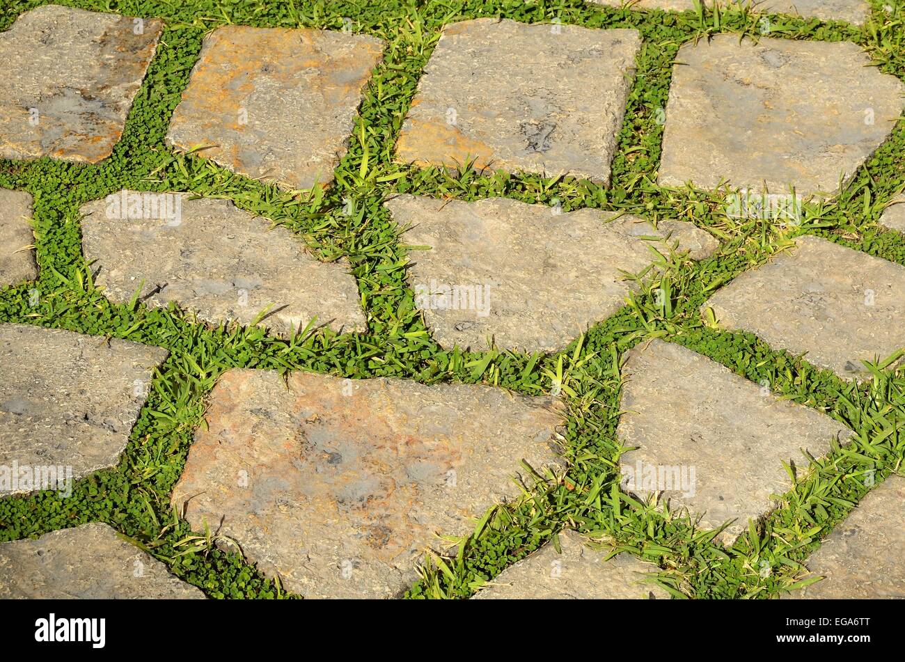 Pebble stone path walkway hi-res stock photography and images - Alamy