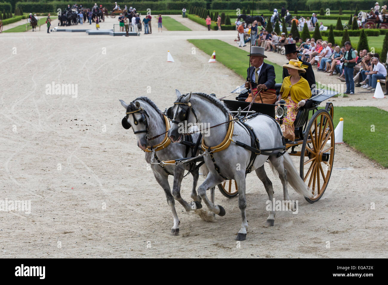 Curricle hi-res stock photography and images - Alamy