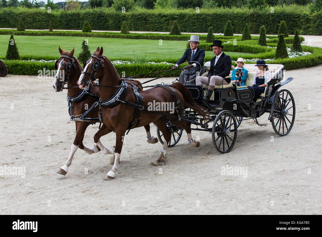International competition for traditional carriages "La Venaria Reale ...