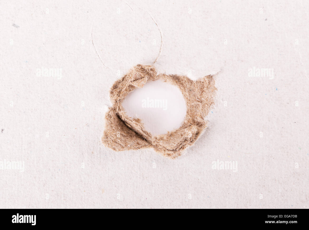 paper hole Isolated on white background Stock Photo - Alamy