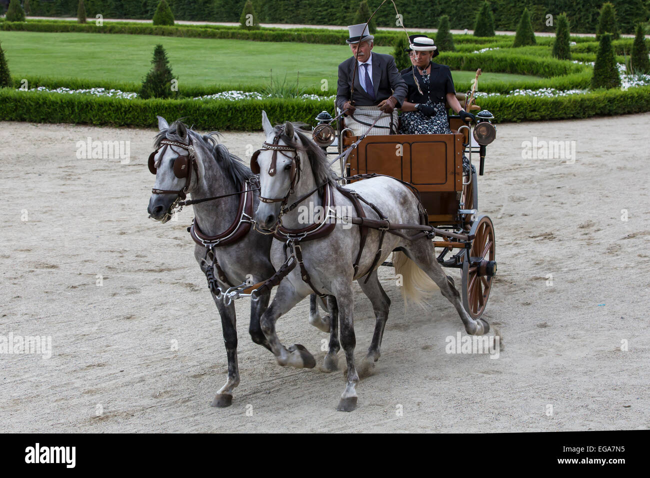 International competition for traditional carriages "La Venaria Reale ...