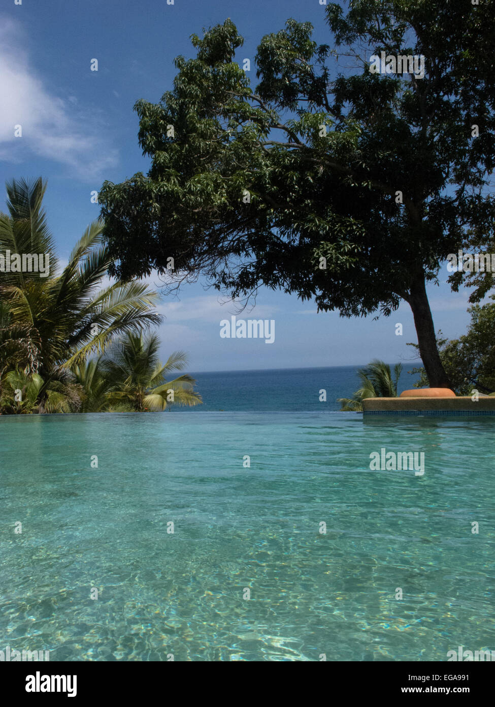 An infinity pool overlooks the sea in Lomas de Caruao venezuelan lodge ...