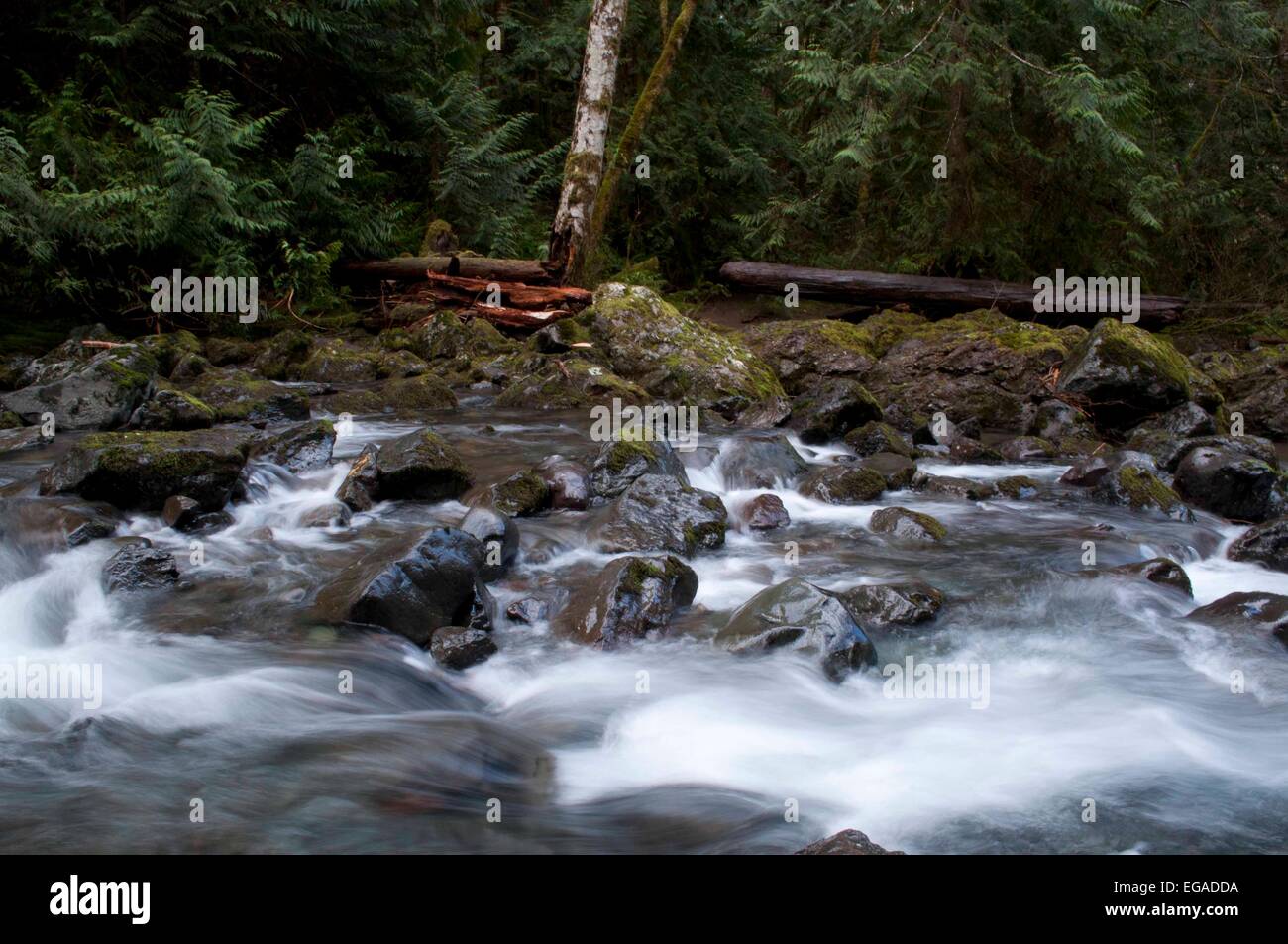 Rocky Brocky is located in Brinnon, WA on the east side of the Olympic ...