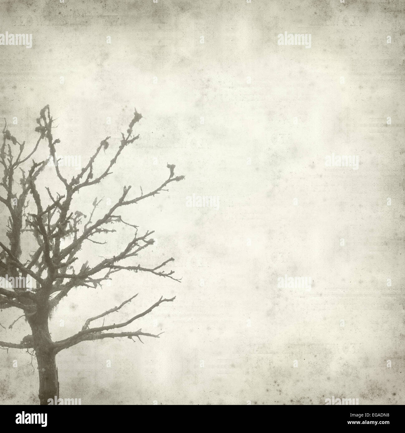 textured old paper background with misty dead tree covered in lichen ...