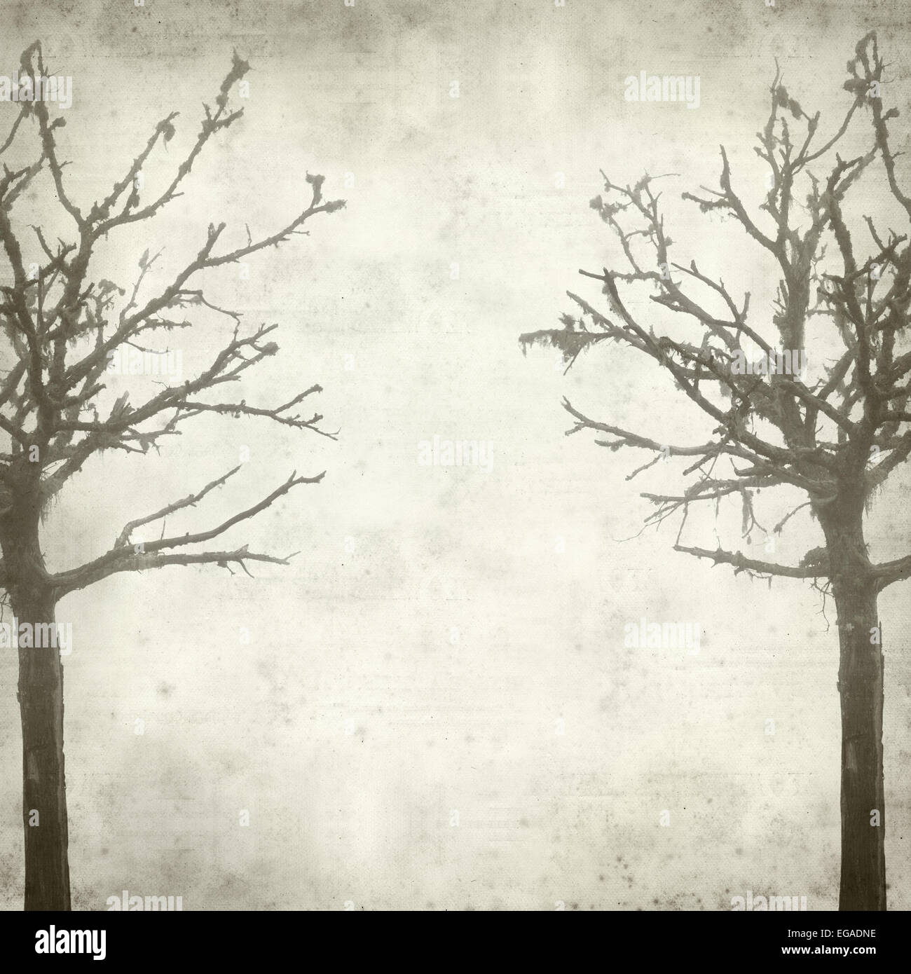 textured old paper background with misty dead tree covered in lichen ...