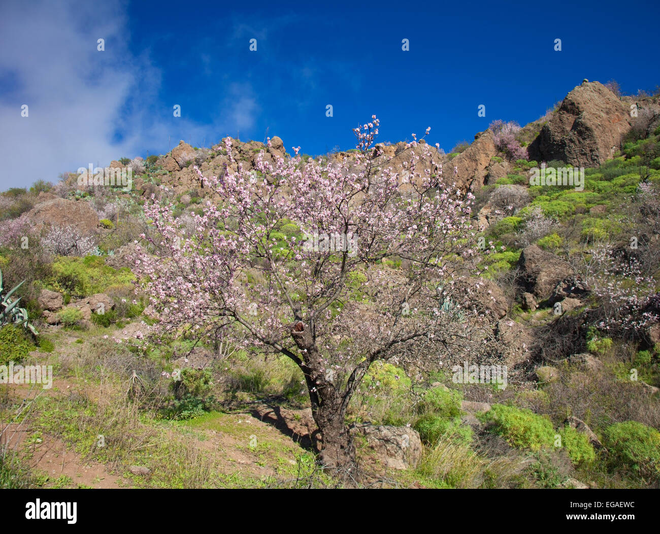 Where to go in gran canaria hi-res stock photography and images - Alamy