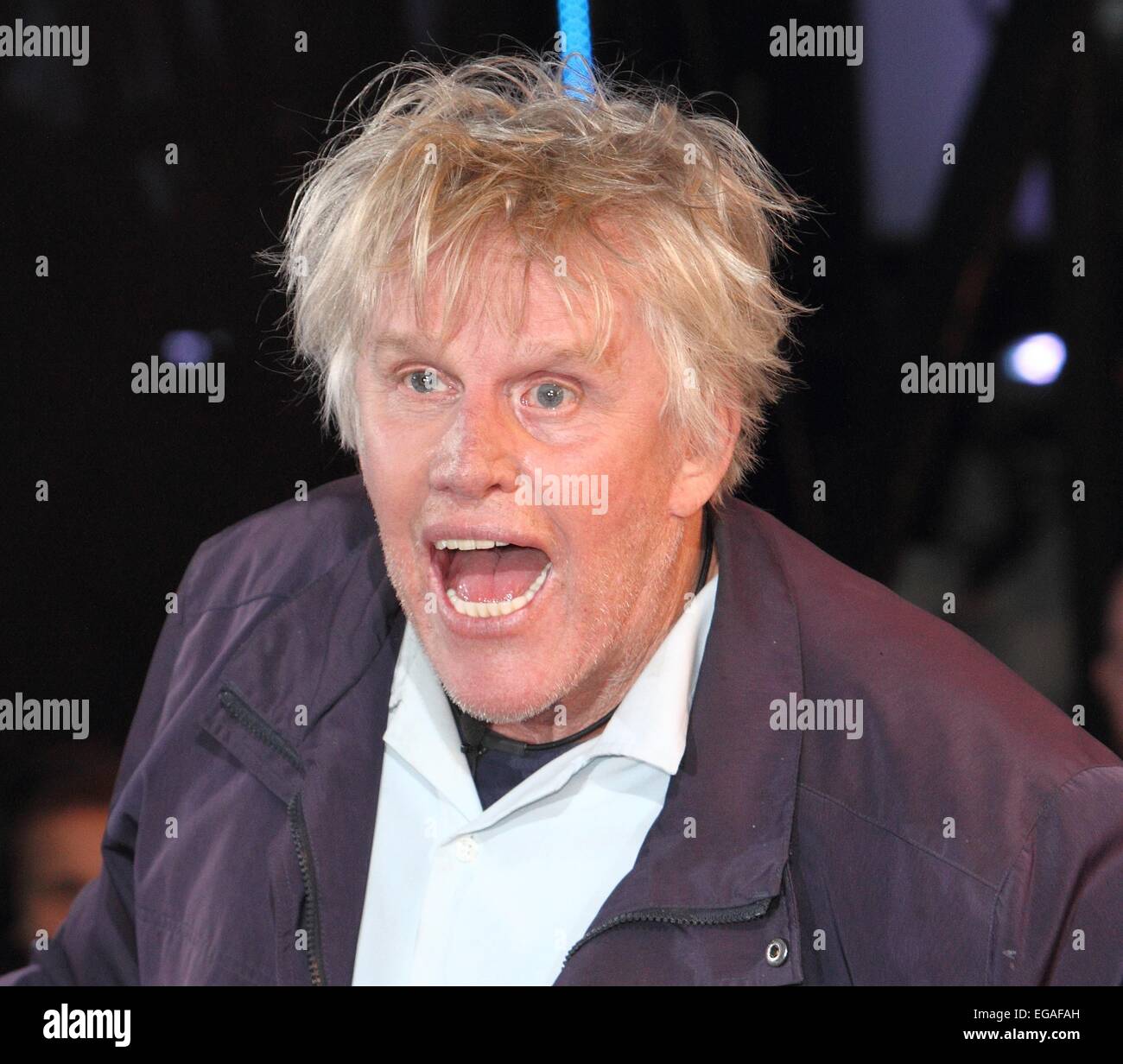 Gary busey big brother hi-res stock photography and images - Alamy