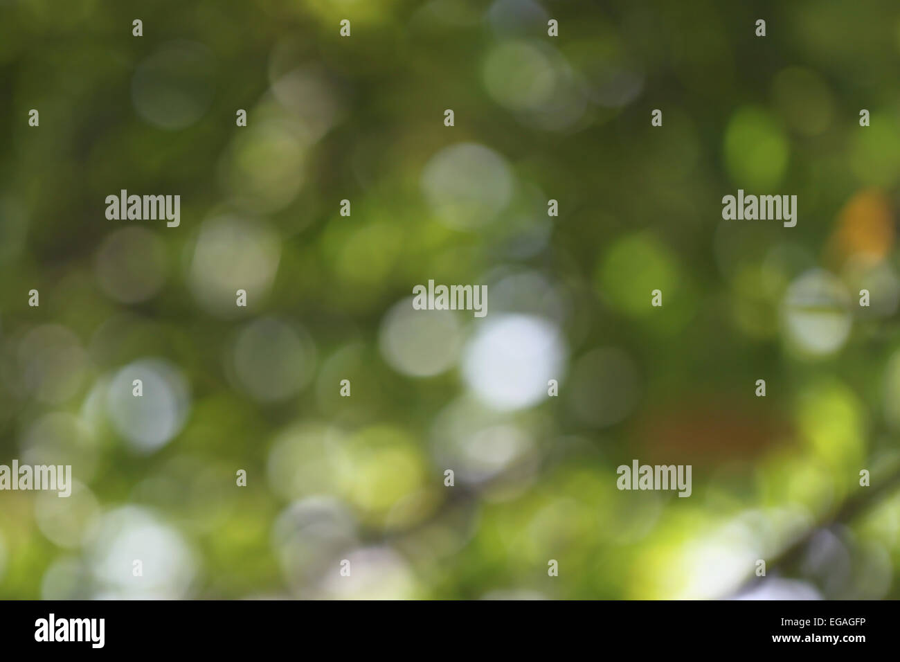 Bokeh green background hi-res stock photography and images - Alamy