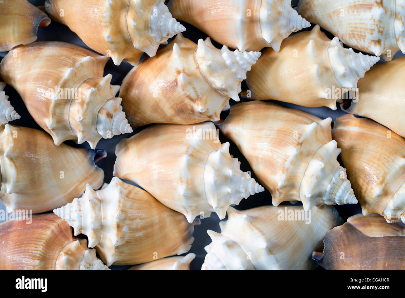 Backgrounds beach hi-res stock photography and images - Alamy