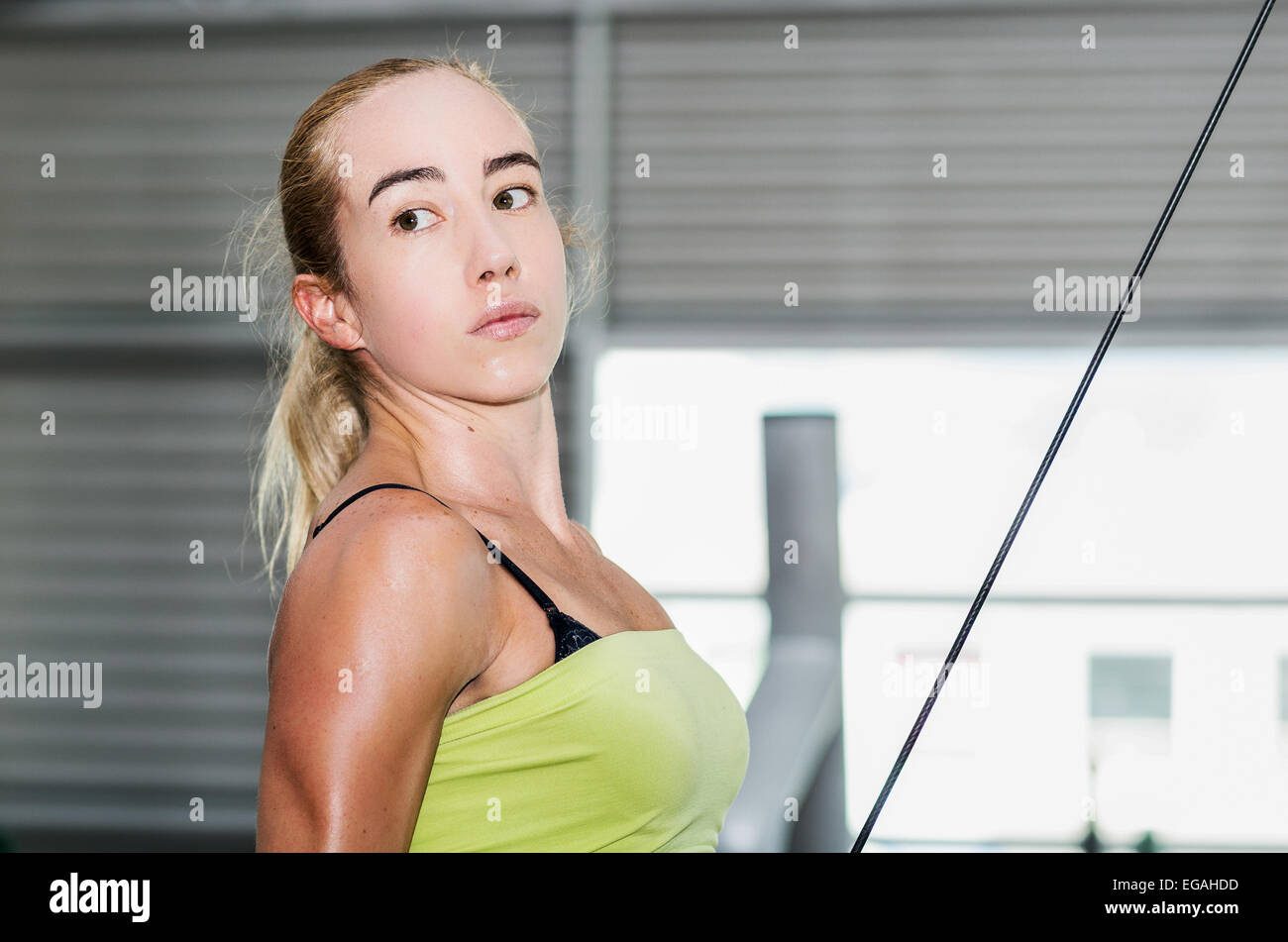 beautiful athletic sporty young girl working out in gym Stock Photo - Alamy