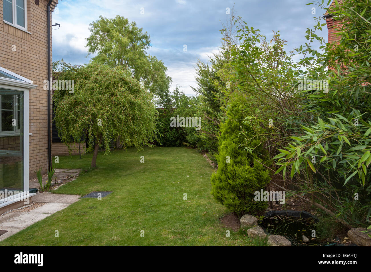 Over grown pond hi-res stock photography and images - Alamy