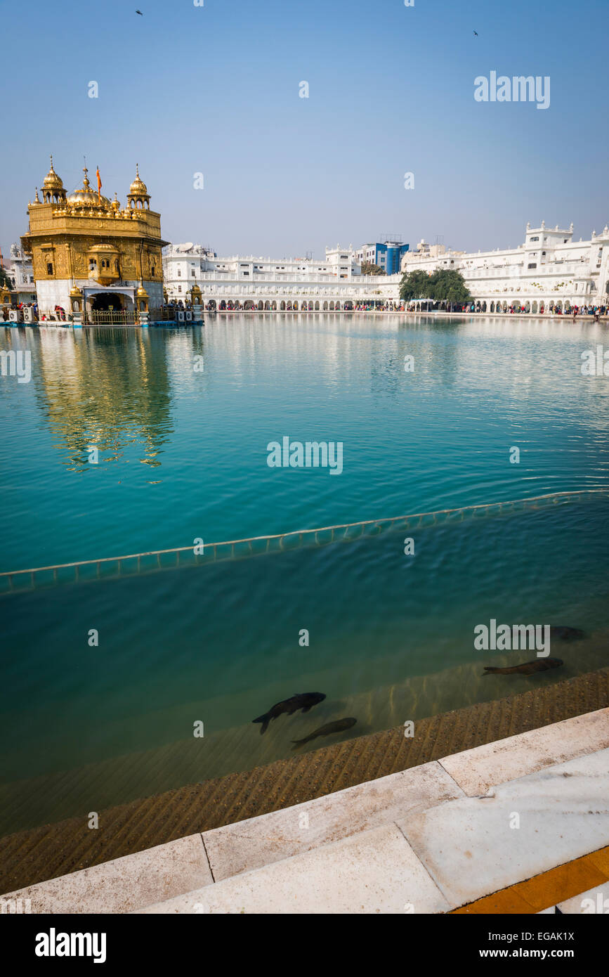 The Golden Temple of the Harmandir Sahib, the holiest shrine and place ...