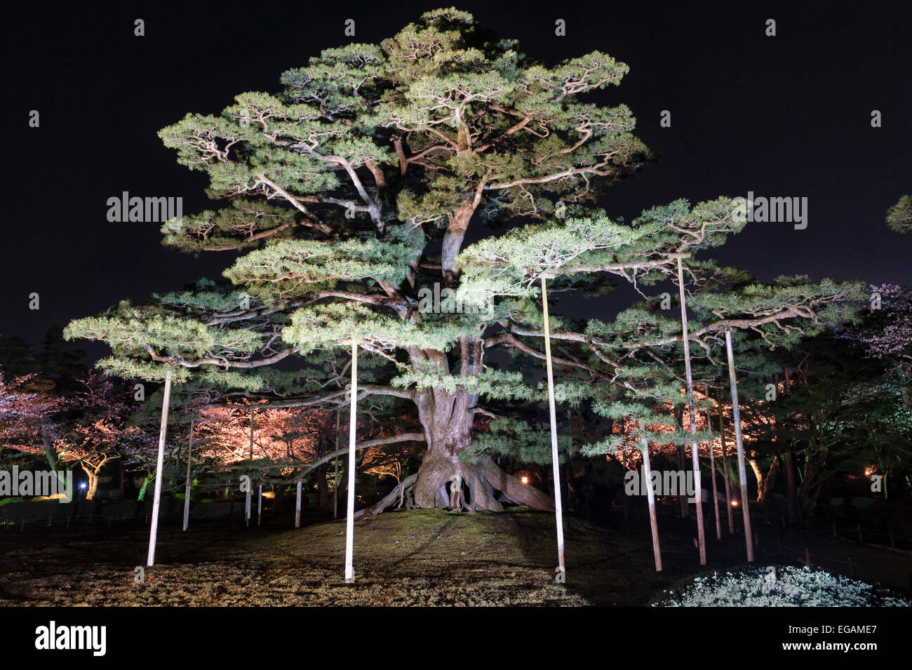 Kenroku en garden japan kenrokuen hi-res stock photography and images ...