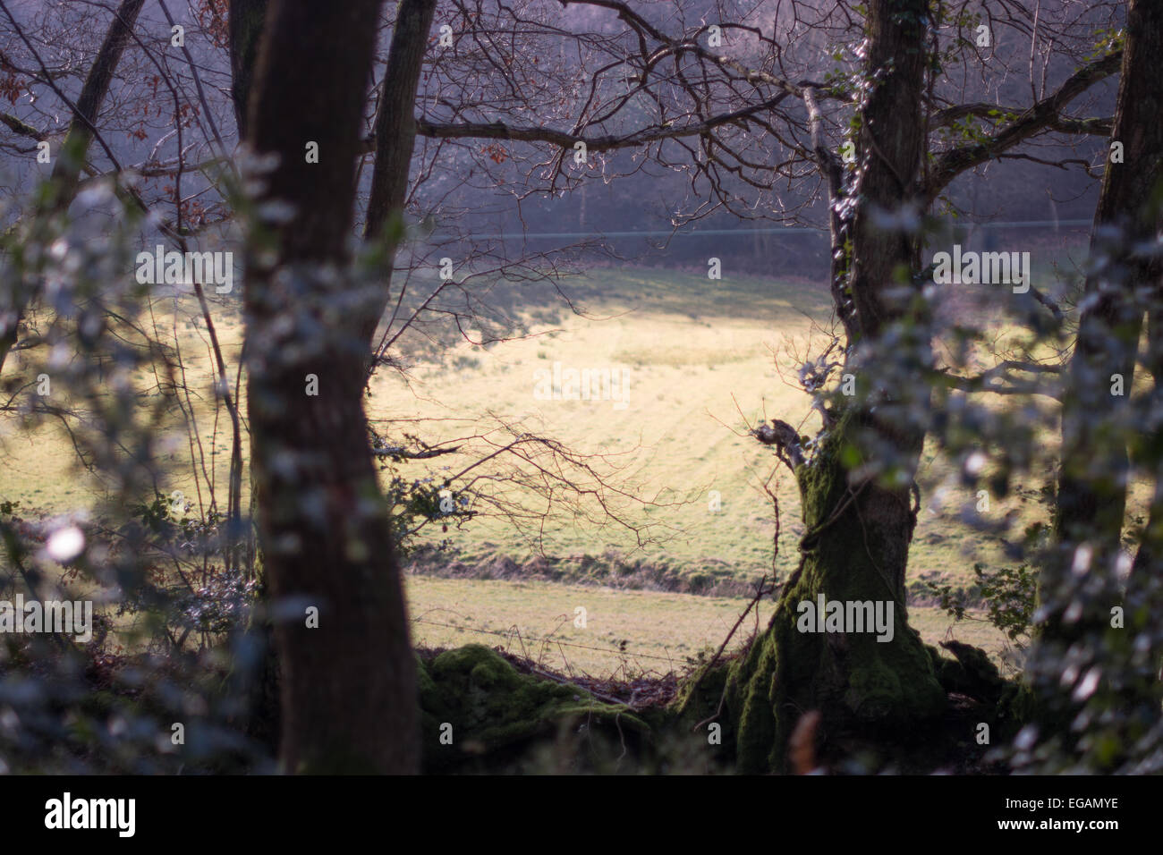 Framing the landscape hi-res stock photography and images - Alamy