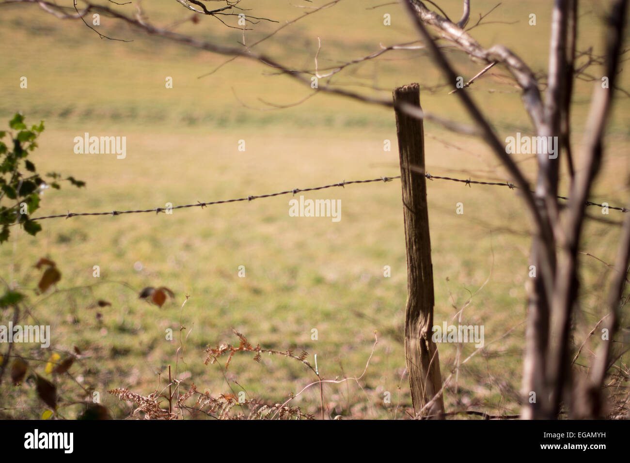 Landscape Framing High Resolution Stock Photography and Images - Alamy