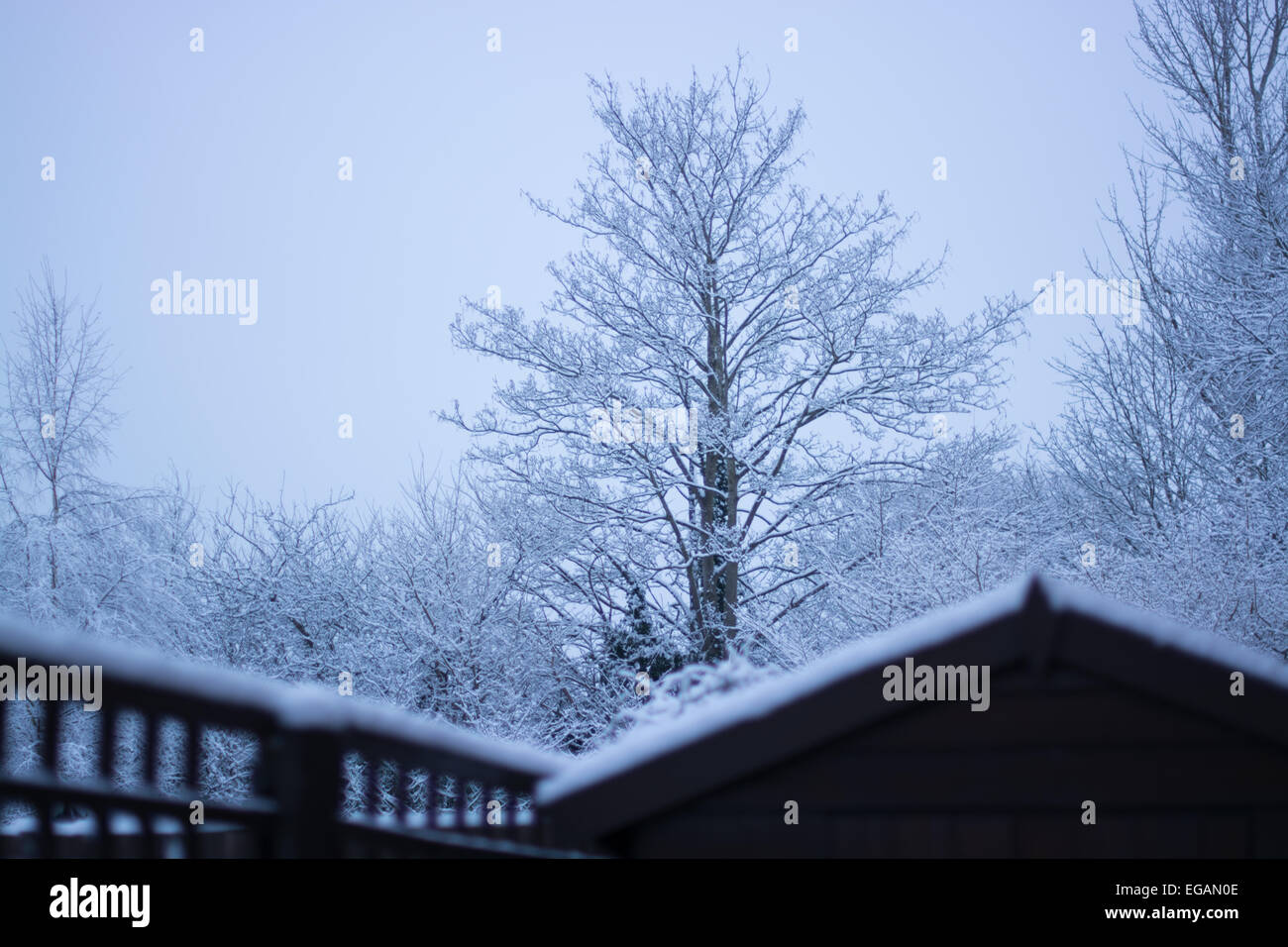 a cold morning Stock Photo - Alamy