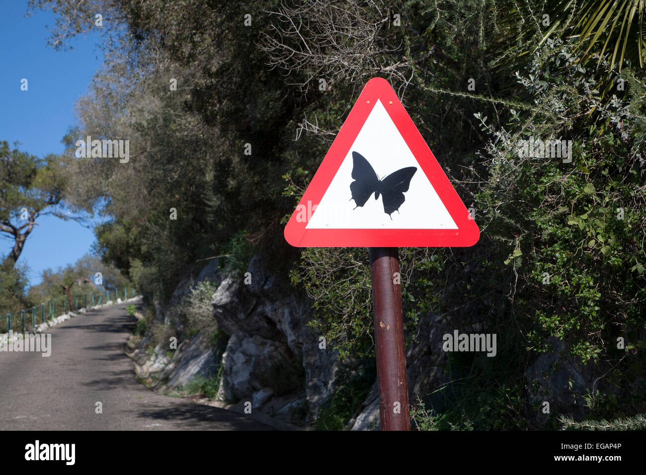 Road sign picture of a butterfly Rock nature reserve Gibraltar ...