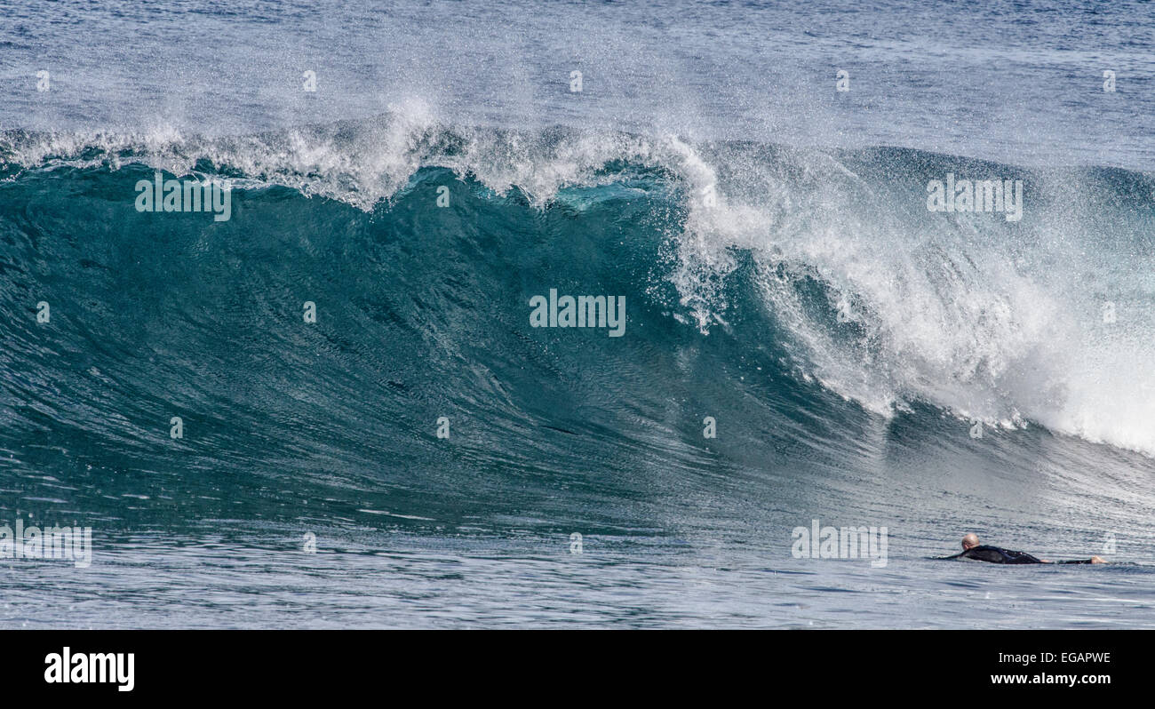 Surfer waiting for wave in Lanzarote Stock Photo - Alamy