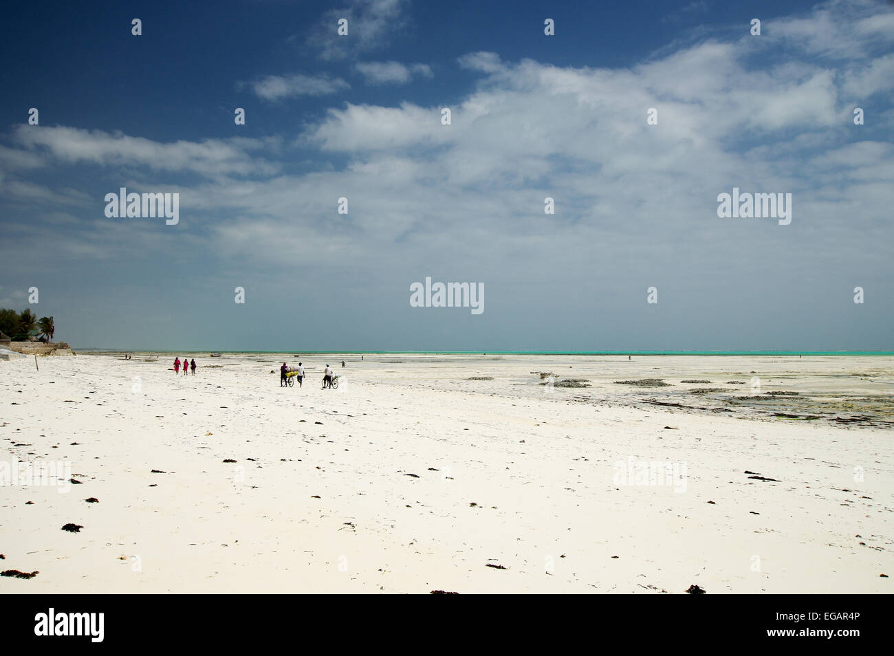 Blindingly bright white sand beach in Zanzibar Stock Photo - Alamy