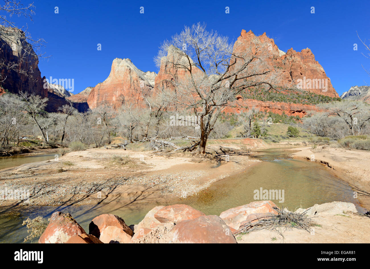 Red rock walls and mountain landscape, Zion National Park, Utah Stock ...