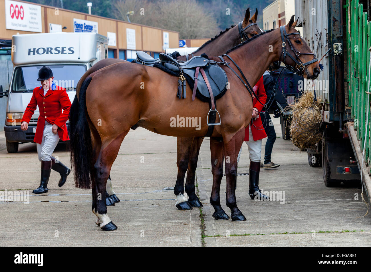 Members Of The Southdown and Eridge Hunt Prepare Their Horses For The ...