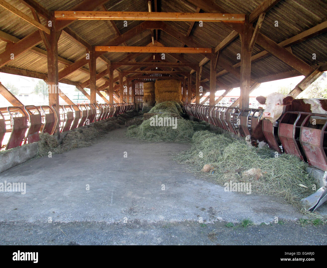 Inside Barn High Resolution Stock Photography and Images - Alamy