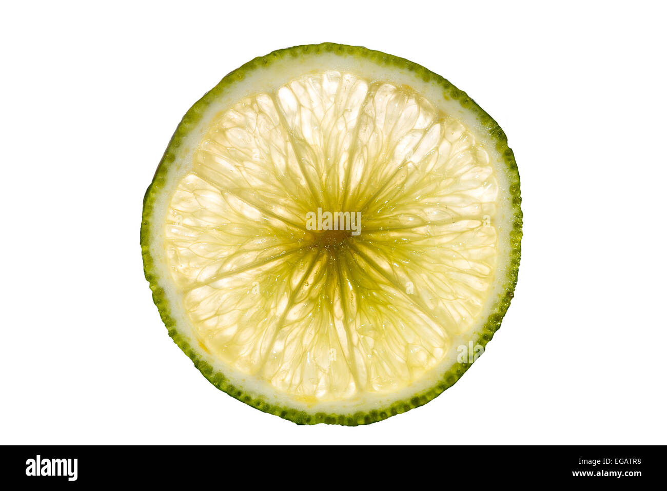lime slice isolated on white background back lighted Stock Photo - Alamy