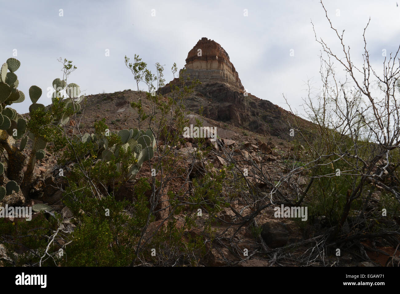 Big Bend Ranch High Resolution Stock Photography and Images - Alamy