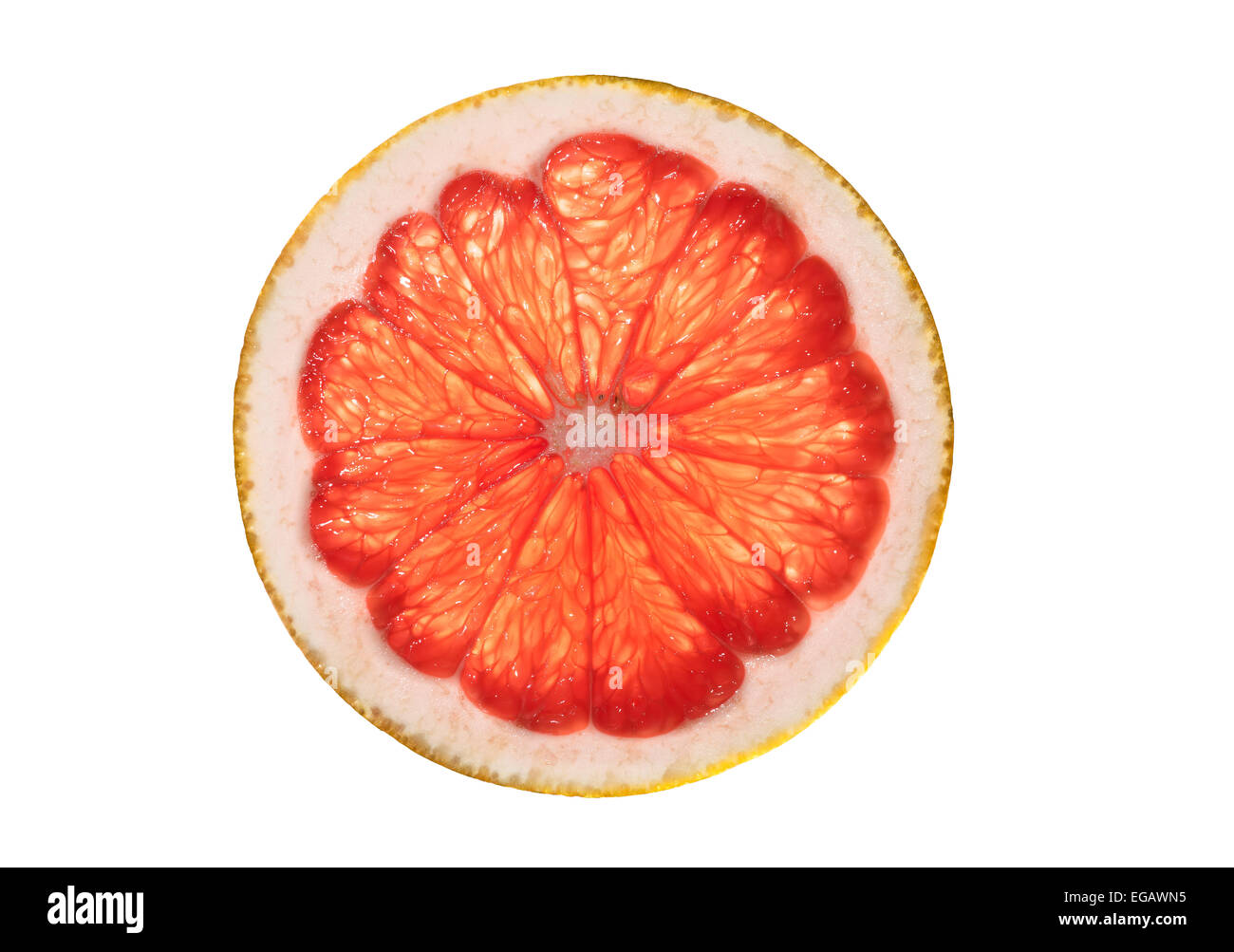 Pink Grapefruit Slice
