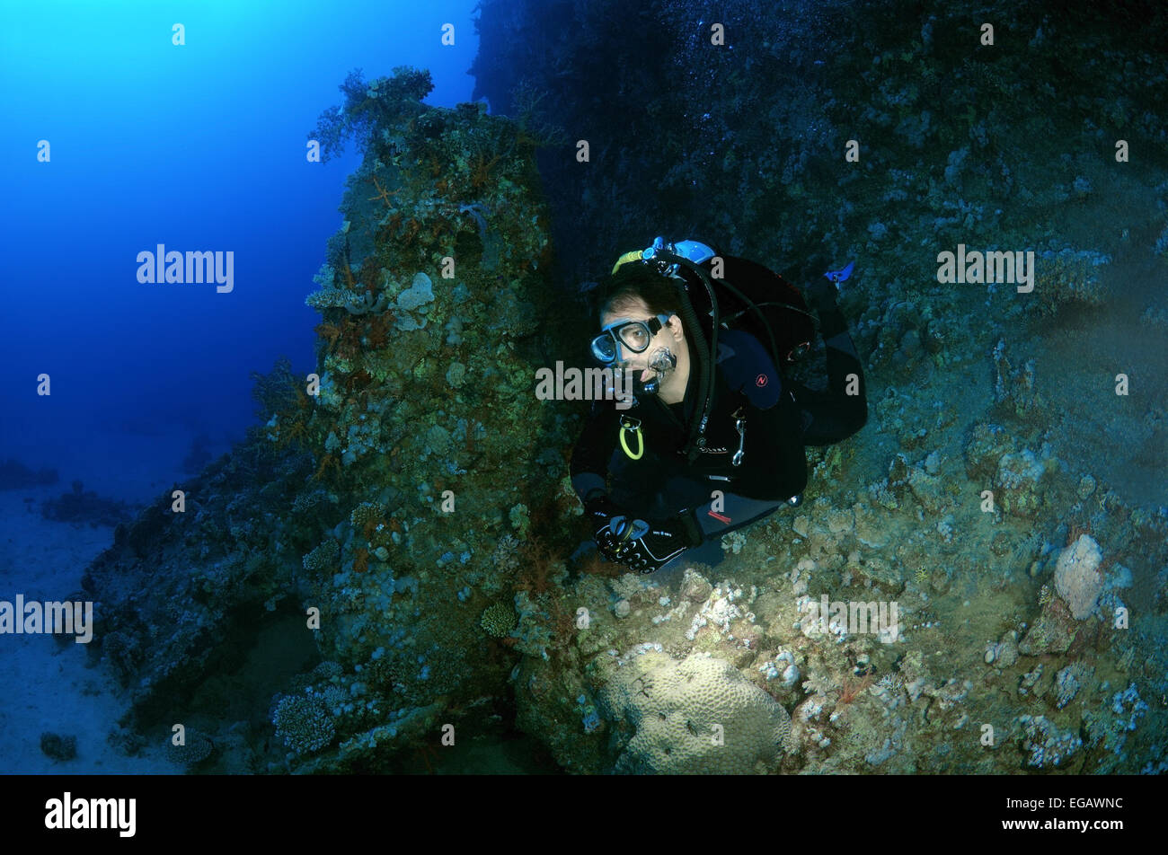 Diver and carnatic shipwreck red sea hi-res stock photography and ...