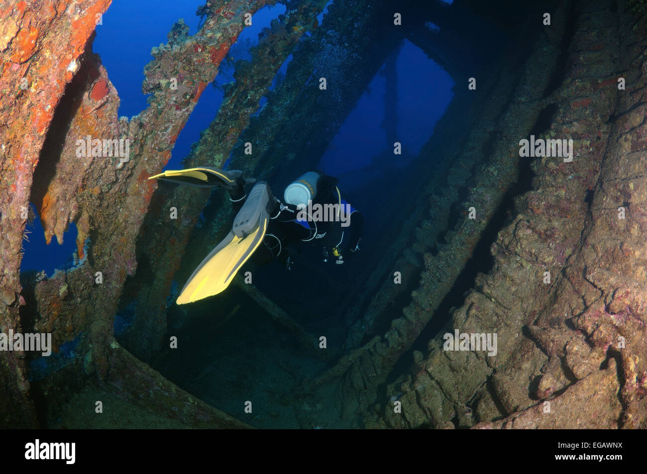 The carnatic ship wreck red sea egypt hi-res stock photography and ...