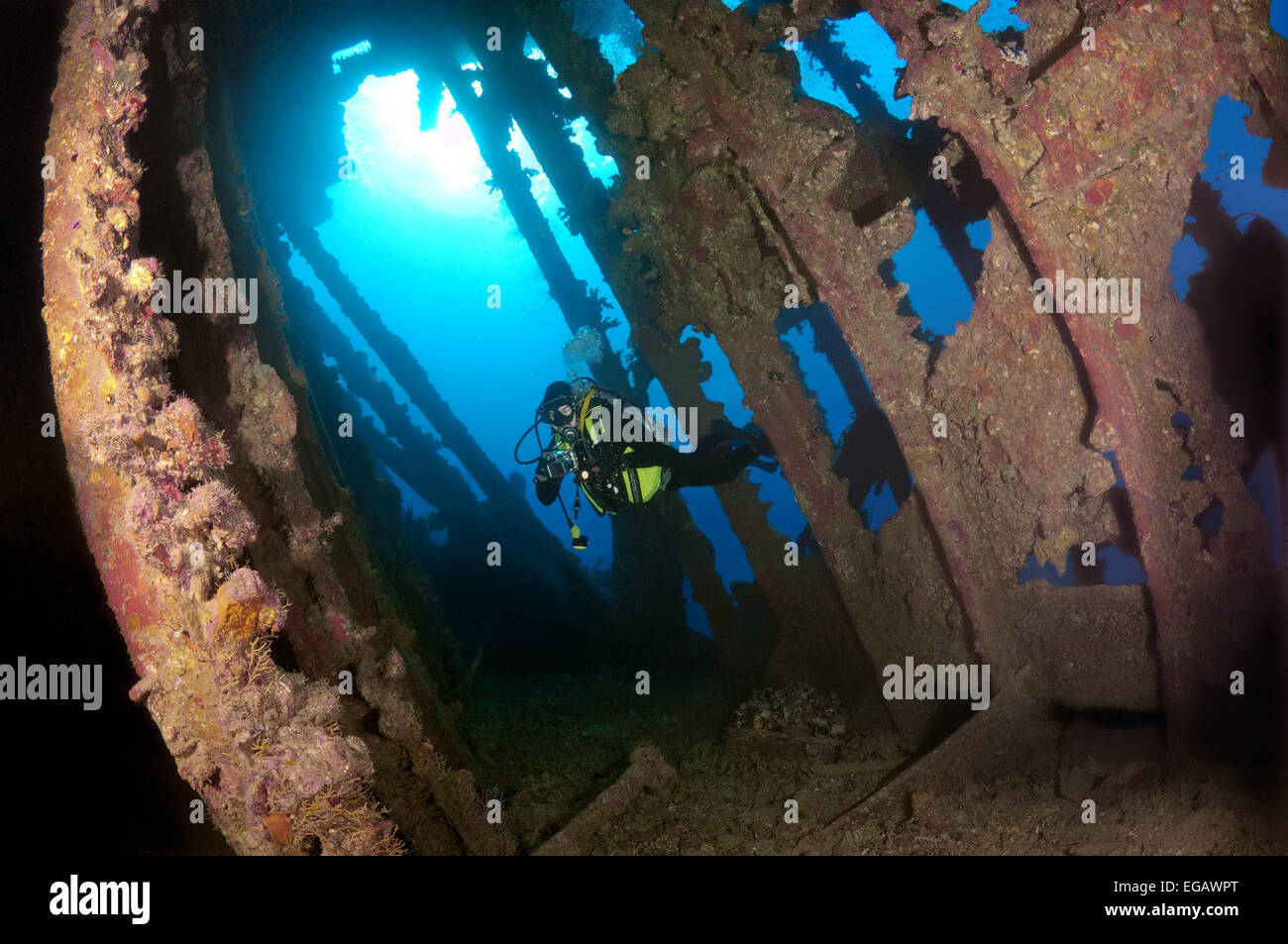 The carnatic ship wreck red sea egypt hi-res stock photography and ...