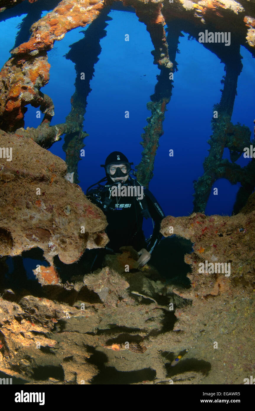 The carnatic ship wreck red sea egypt hi-res stock photography and ...