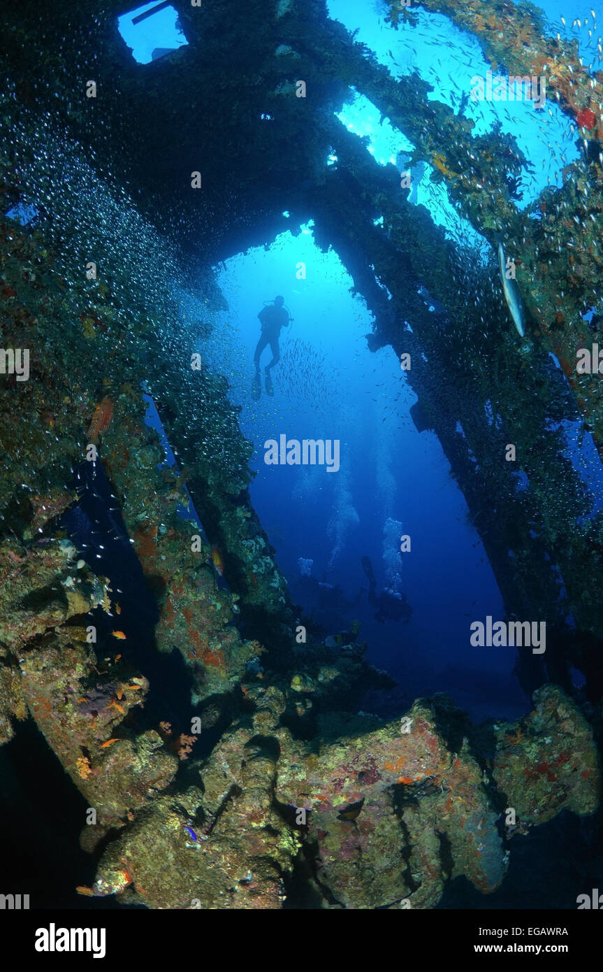 The carnatic ship wreck red sea egypt hi-res stock photography and ...