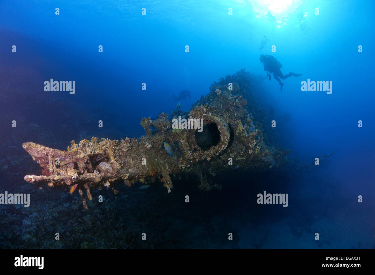 The Carnatic Ship Wreck Red Sea Egypt High Resolution Stock Photography ...