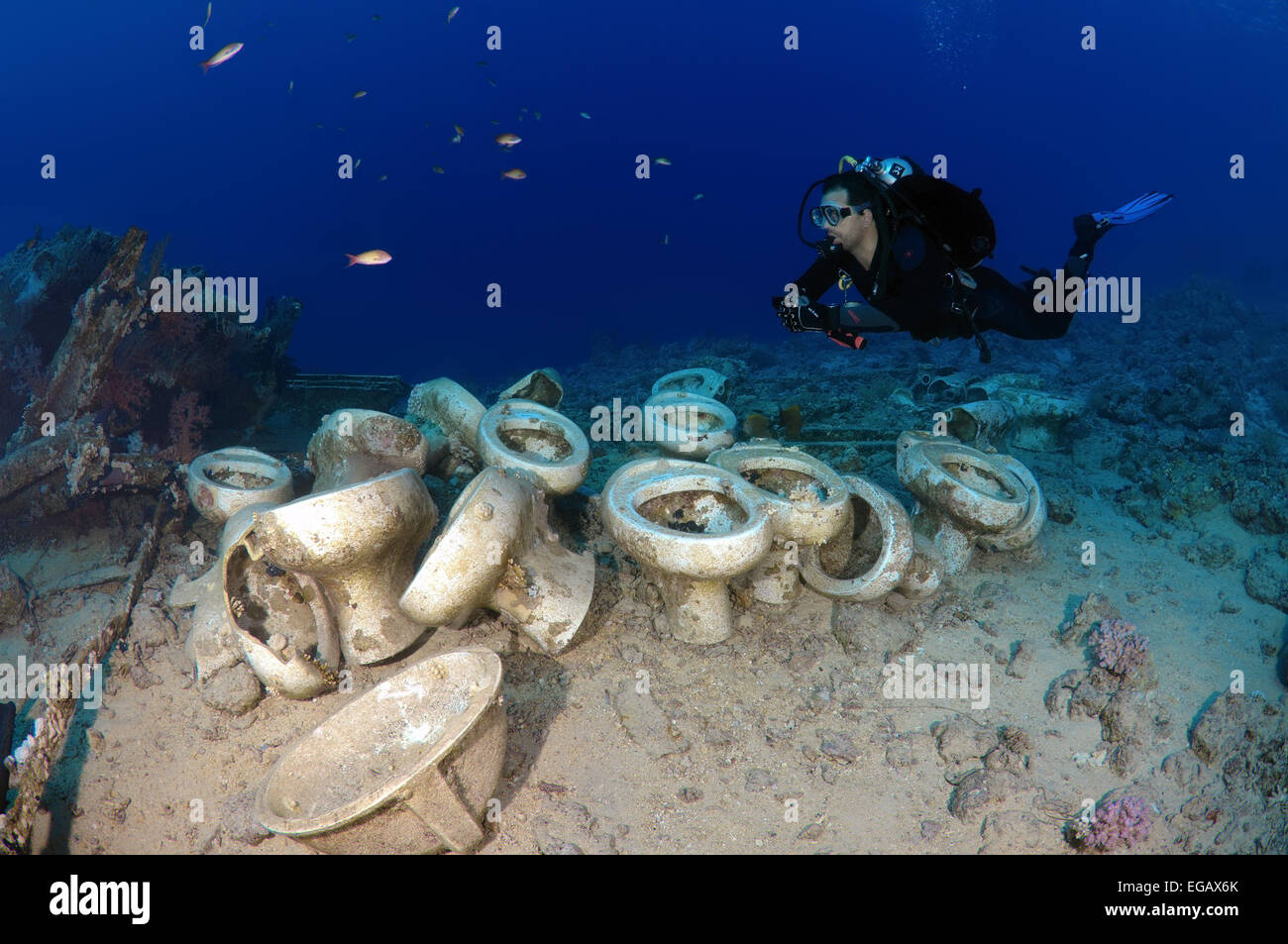 Diver looking at the plumbing on the shipwrecks in Ras Muhammad ...
