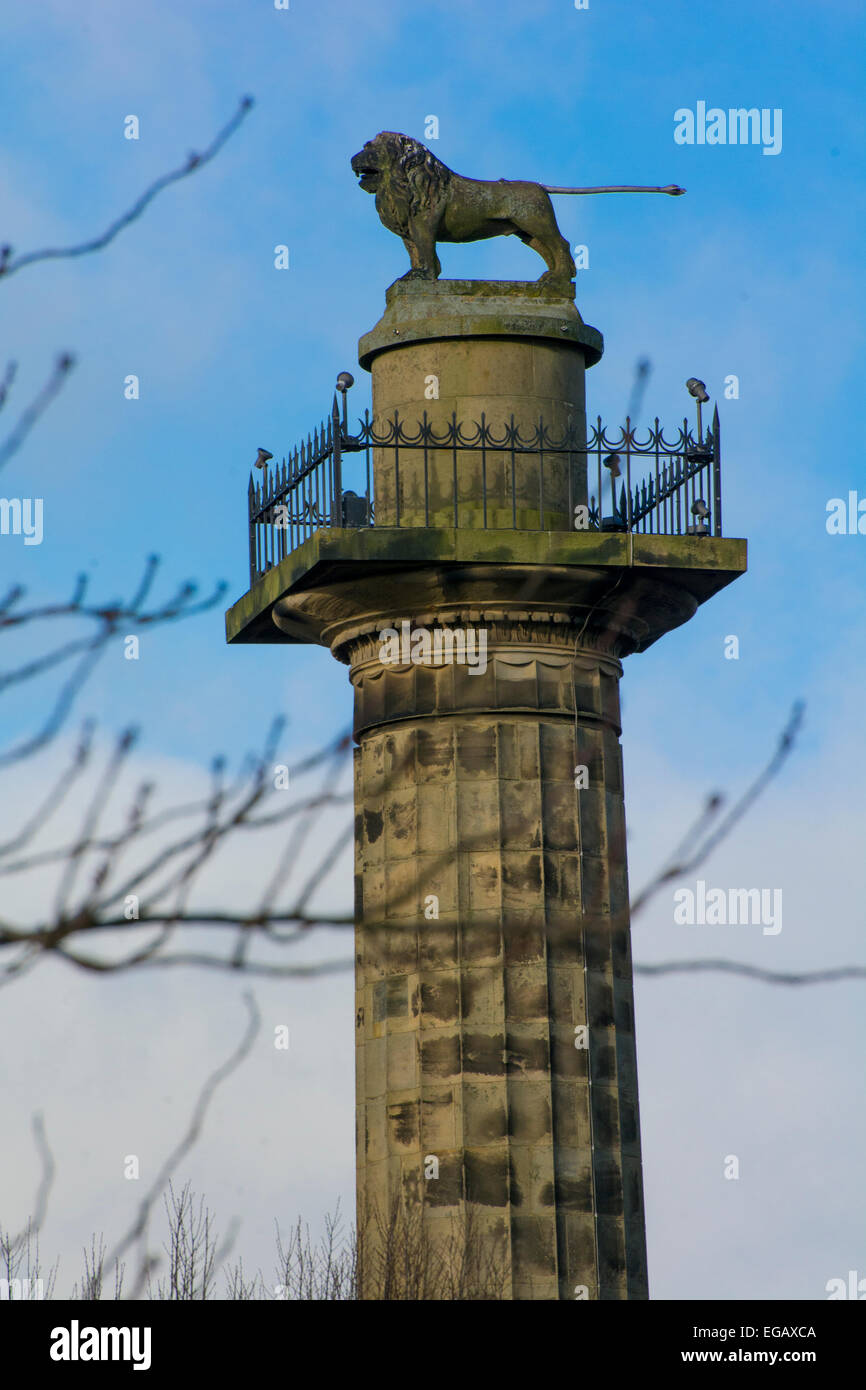Alnwick lion hi-res stock photography and images - Alamy