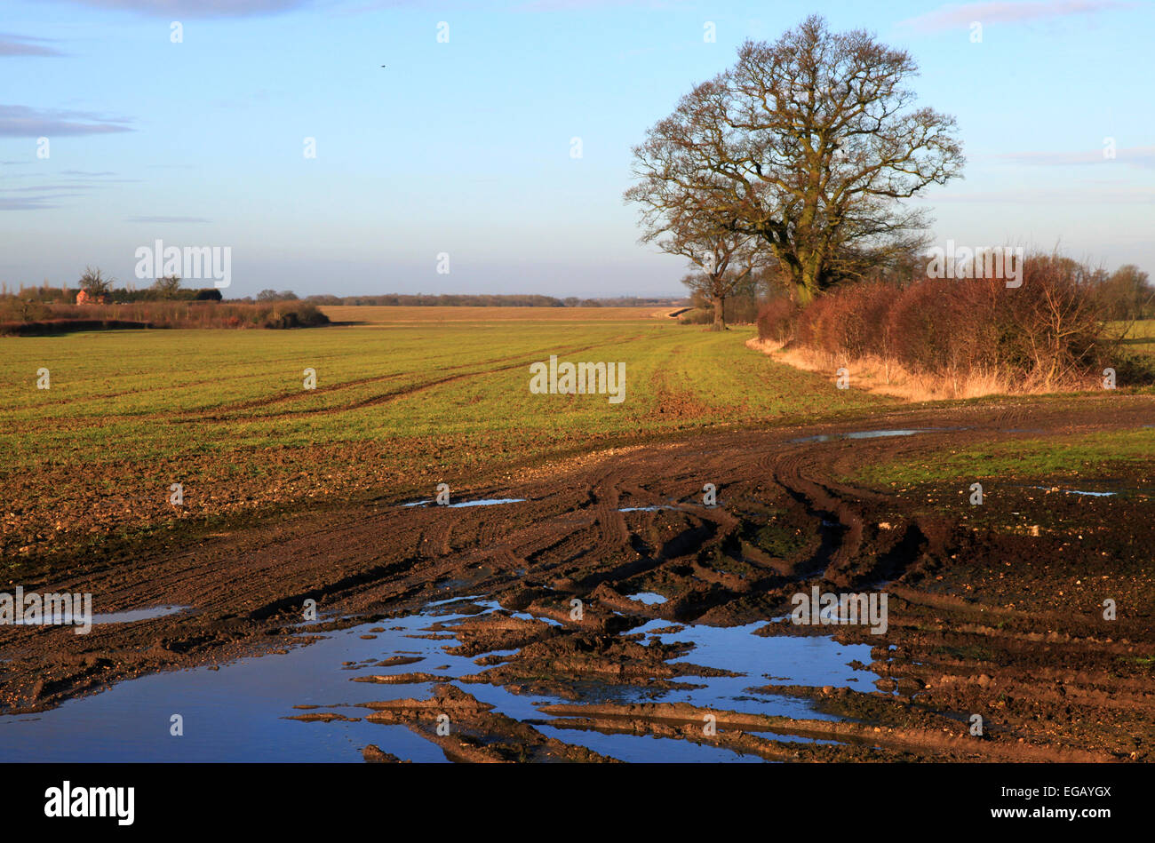 Farming, entrance muddy wet field, rural country life, wellington boots ...
