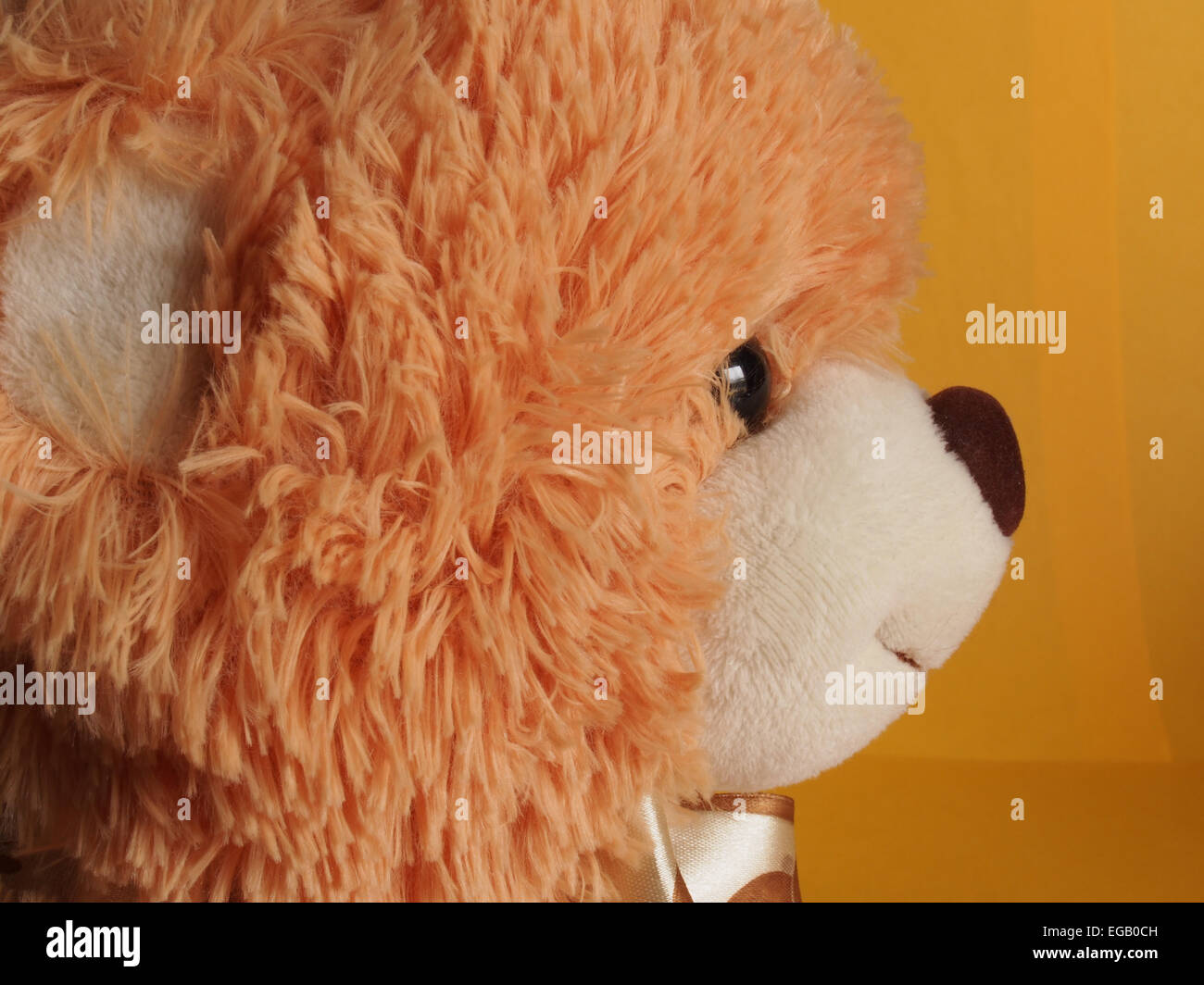 Light brown teddy bear hi-res stock photography and images - Alamy