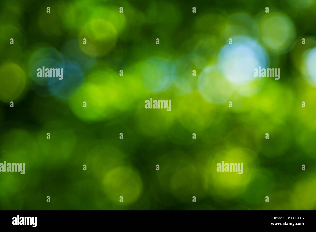 background green leaves leaf bokeh Stock Photo - Alamy