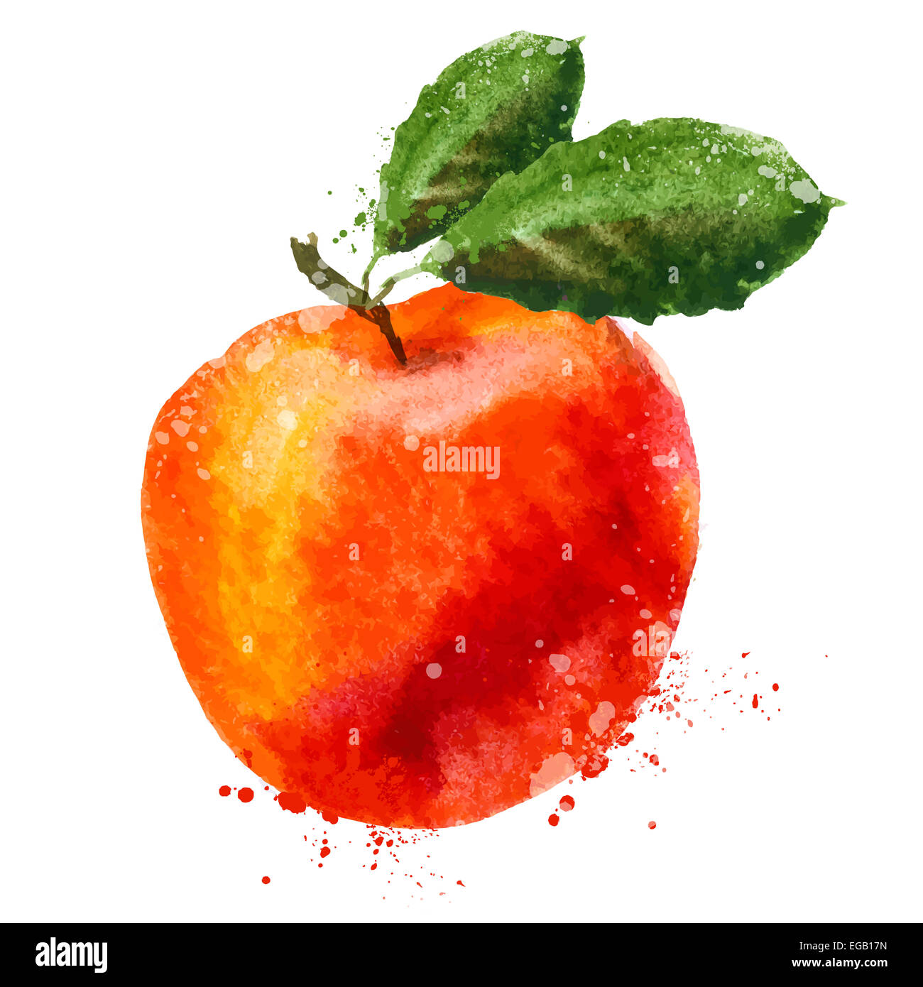 Watercolor of fruit hi-res stock photography and images - Alamy