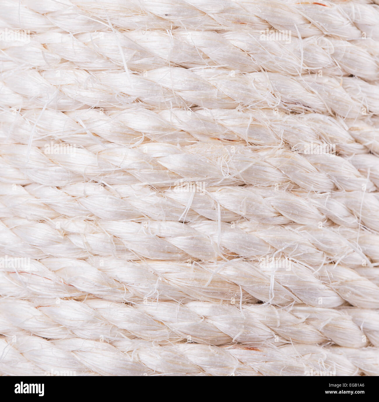 scratching post isolated on white background Stock Photo - Alamy