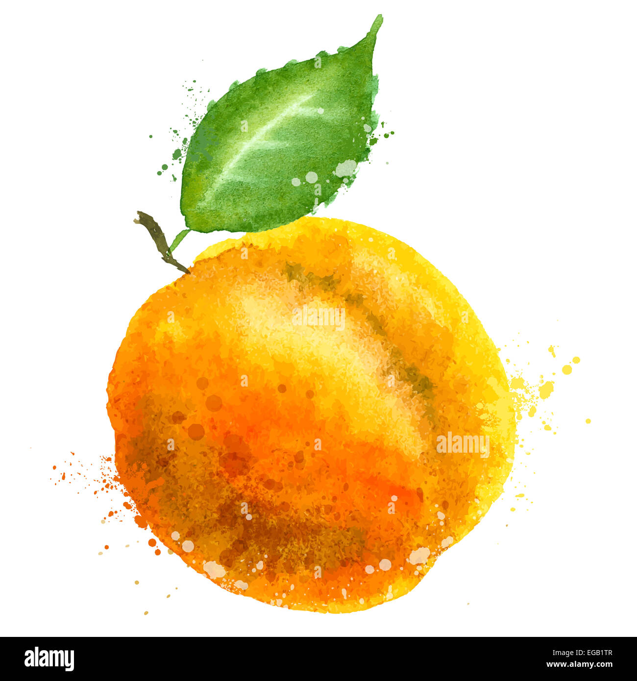 Watercolor fruit hi-res stock photography and images - Alamy