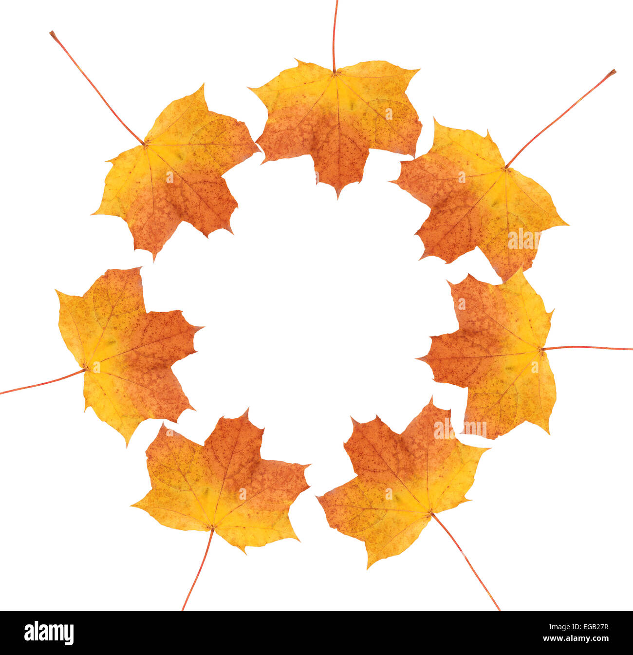 Autumn leaves background plane Cut Out Stock Images & Pictures - Alamy