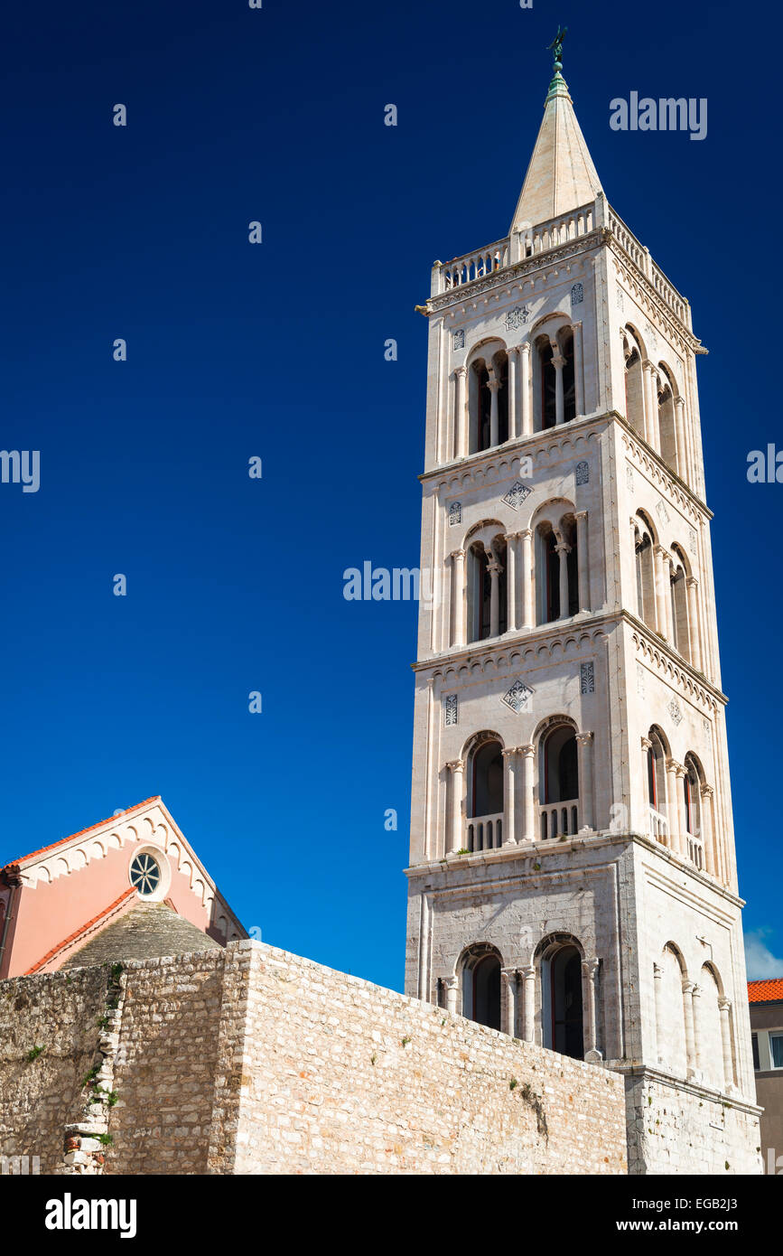 St. Donatus Church and St. Anastasia Cathedral bell tower, Zadar ...