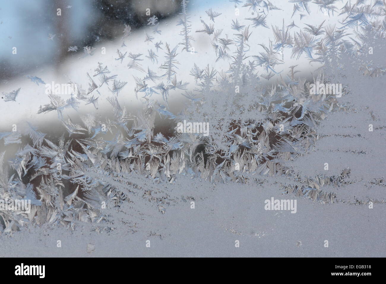 Frost formed a design on the outside of a house window on a very cold ...
